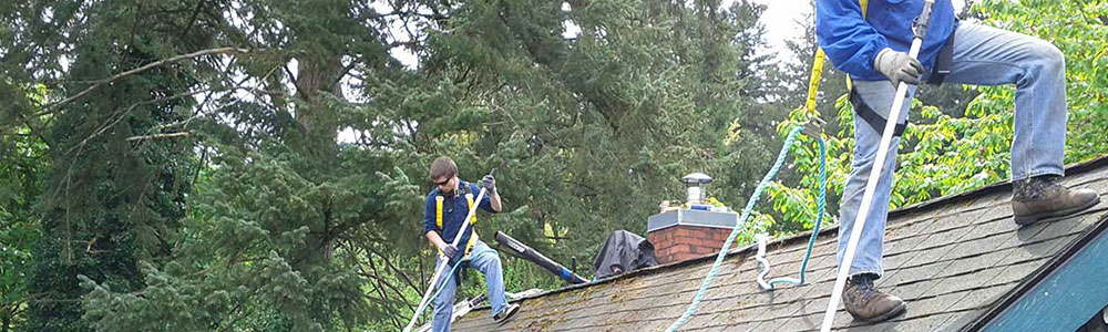 Yearly Maintenance Program - Gresham Roof Cleaning
